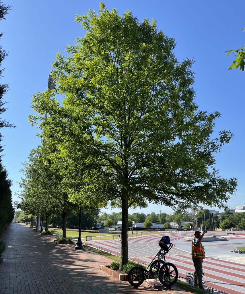 StormTank Urban Root System Supports Tree Growth at USC